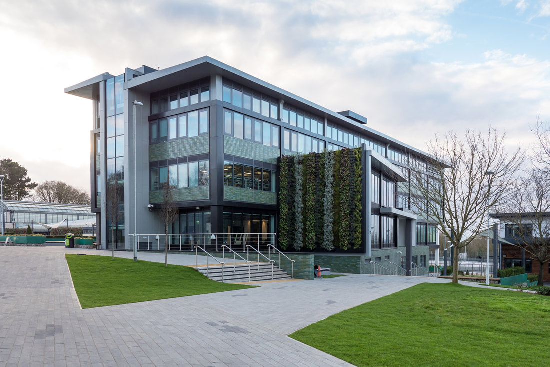 Lizzie Hinton - Museum of Architecture