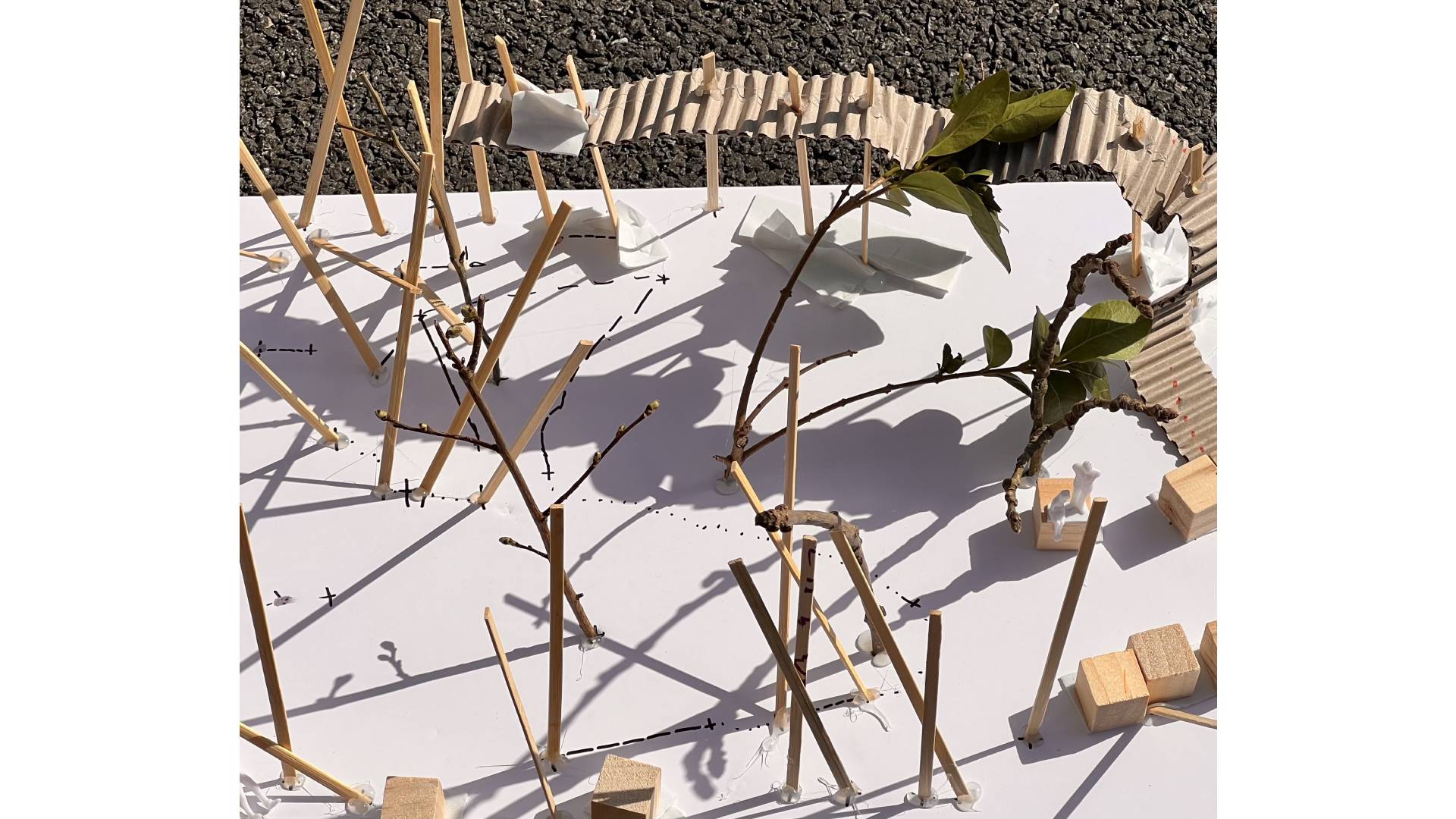 The Power of Trees - Museum of Architecture